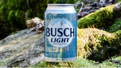 Busch - Walmart.com