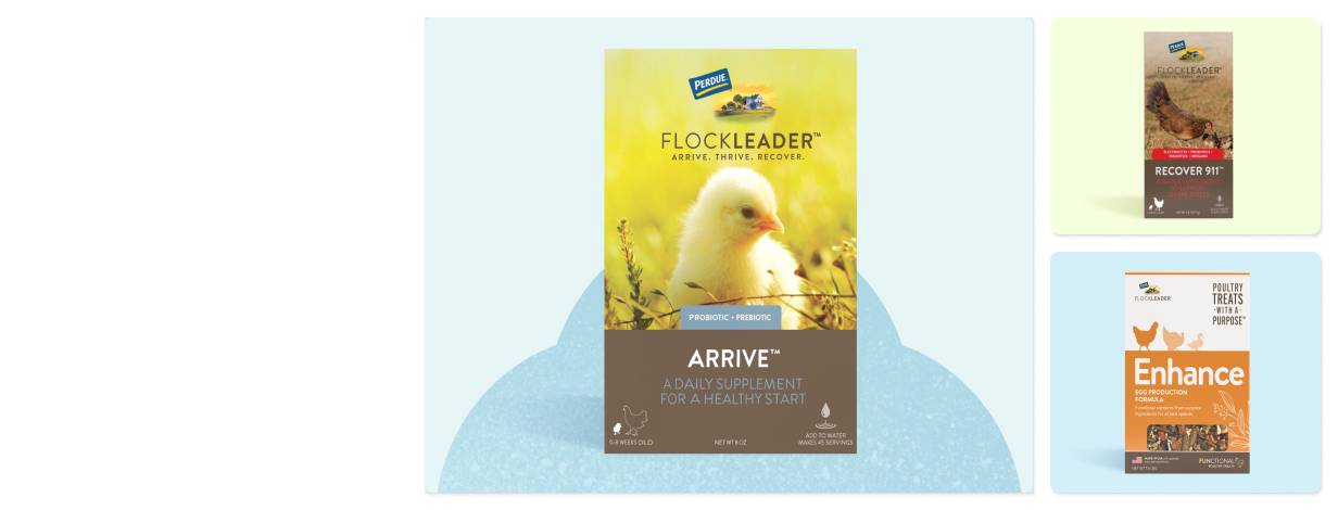 Farm Animals - Walmart.com