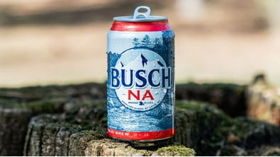 Busch - Walmart.com