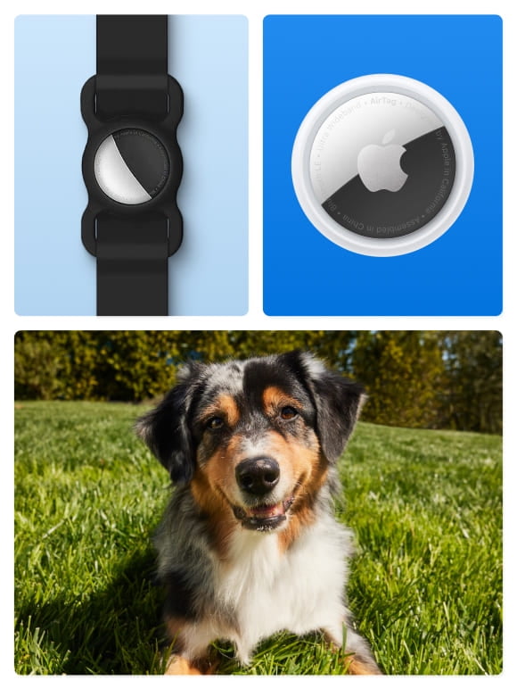 All Pet Smart Tech in Pet Smart Tech - Walmart.com
