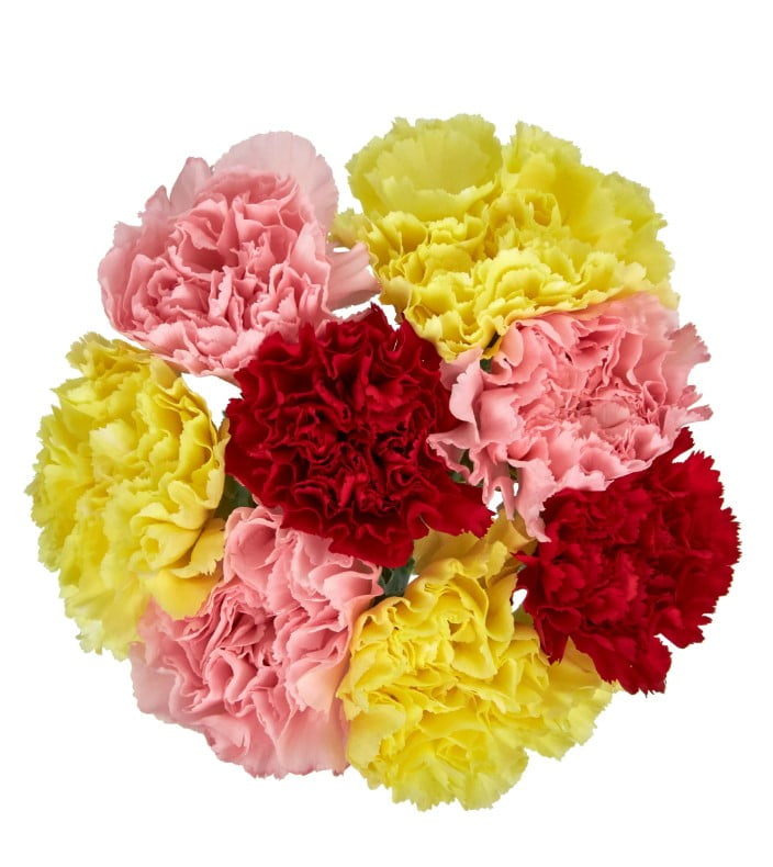 Bulk Flowers in Flowers - Walmart.com
