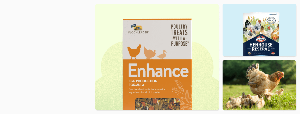 Farm Animals - Walmart.com