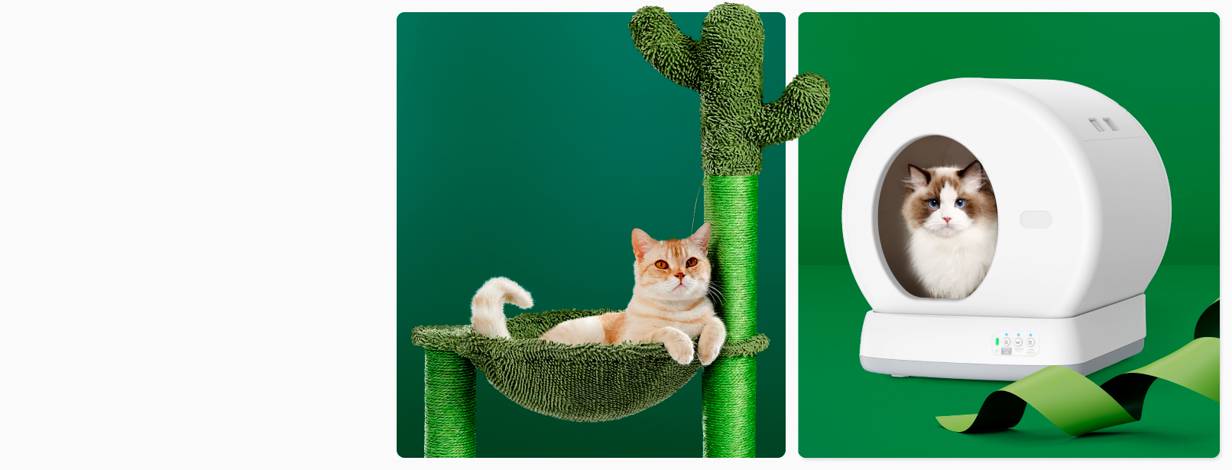 Cat Supplies - Walmart.com