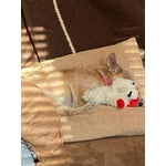Multipet Lamb Chop Ultra Plush Fabric Dog Bed, Perfect for Pet Sleep, Puppy Snuggle, and ...