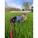 Scotts Turf Builder WinterGuard Fall Lawn Food – Winter Feed Fertilizer ...