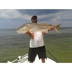 Berkley Nanofil Uni-Filament Fishing Line - Walmart.com