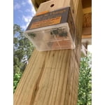 Bees N Things Wood Hanging Carpenter Bee Catcher for Outdoor Use ...