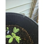 "Veradek Large Outdoor Demi Series 26"" Tall Stone-Plastic Composite ...