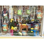 12 Pack: Green Springeri Fern Bush by Ashland® - Walmart.com