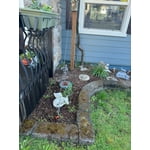 Expert Gardener Tree Stake Kit with Stakes, Vinyl Rope and Protective ...