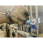 Vetericyn Horse Liniment, Fast-Acting Menthol Formula, 16 oz, Blue ...
