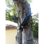 Design Toscano 8" Demon of The Night Vampire Bat Garden Statue ...