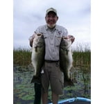 Berkley® Fusion19™ Heavy Cover Hooks Fishing Hooks - Walmart.com