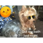 (6 pack) Cesar Loaf And Topper Rotisserie Chicken With Bacon And Cheese ...