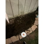 Timberline Cow Manure and Compost, Soil Conditioner, 40lb Bag, Ideal ...