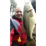 Berkley Gulp! Extruded Nightcrawler Soft Bait - Walmart.com