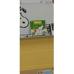 Peanuts Snoopy Goes to School, (Paperback) - Walmart.com