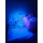 Xtreme Lit Neon Multi-Color Mushroom LED Touch Lamp for Bedroom Decor ...