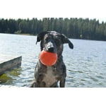 Kurgo Muck Dog Collar, Medium, Prepster Stripe Atlantic Blue - Walmart.com