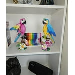 LEGO Pink Parrot 3in1 Building Toy Set 31144 with Rotatable Parrot and ...