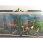 Aqua-Tech Power Fish Tank Aquarium Filter, 3-Step Filtration, 30-60 ...