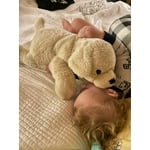 Hugs and Cuddles™ Calmings 18" Weighted 2.5 lbs. Plush Labrador, Soft ...