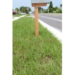 Solar Group Gibraltar Cedar Mailbox Post Kit, 43.3 in., Natural Red ...