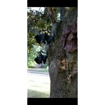 Design Toscano 8" Demon of The Night Vampire Bat Garden Statue ...