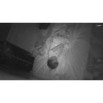 Permalux 2-Piece Waterproof Encasement Basic Bed Protector Set ...