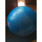 SPRI Weighted Stability Exercise Ball, 55cm, Blue - Walmart.com