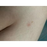 Spectracide Triazicide 32 Fl. Oz. Insecticide: Garden Treatment for ...