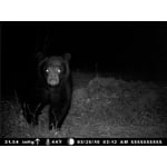 Moultrie Feeders Trail Game Camera 12 Volt Battery Solar Power Panel ...