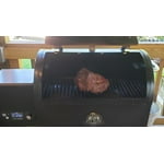 Pit Boss 340 Sq. in. Portable Tailgate, Camp Pellet Grill with Folding ...