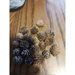 kiskick 20Pcs Mini Decorative Fake Pine Cones, Small DIY Craft for Home ...