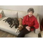 Depend Silhouette Incontinence Underwear for Women, Maximum Absorbency ...