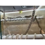 12 Pack: 15ft. Ivory Rope by Ashland - Walmart.com