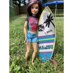 Barbie Dreamhouse Adventures Skipper Surf Doll, Approx. 11-Inch In ...
