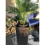 GDF Studio Modern Patio Outside Big Tall Flower Pots, Set of 2 ...