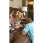 Disney The Lion King Mighty Roar Simba Interactive Plush Toy - Walmart.com