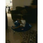 Little Tikes Rocker for Small Kids, Indoor & Outdoor Balance Rocking ...