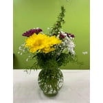 12 Pack: Green Springeri Fern Bush by Ashland® - Walmart.com