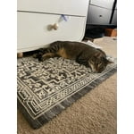 Better Homes and Gardens Darby Persian Elmbrook Cloudwalk Anti-Fatigue ...