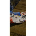 Klutz LEGO Chain Reactions Craft Kit: Building Set for Kids - Walmart.com