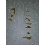 Wardley Turtle Delight Reptile Food, 1.4 oz - Walmart.com