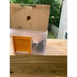 Bees N Things Wood Hanging Carpenter Bee Catcher for Outdoor Use ...