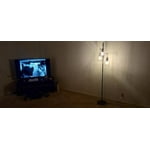 EDISHINE Adjustable Pole Dimmable Industrial Floor Lamp, 65 inch, 3 LED ...