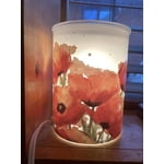 ScentSationals Full Size Fragrance Warmer, Spring Poppies - Walmart.com