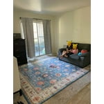 Crystal Print Cullen Traditional Oriental Cream Multi ashable Indoor ...