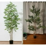 6 ft Tall Large Indoor Faux Moringa Oleifera Tree in Pot, Artificial ...