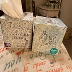 Kleenex Cooling Lotion Facial Tissues, 50 Tissues per Cube Box, 1 Pack ...